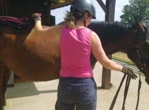How to Longline A Horse? The Ultimate Stress-Free Guide To Long Lining