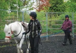 How to Longline A Horse? The Ultimate Stress-Free Guide To Long Lining