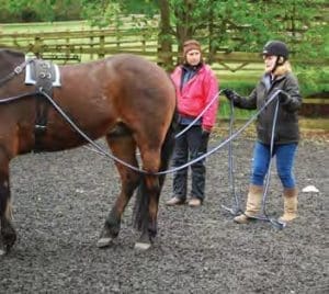 How to Longline A Horse? The Ultimate Stress-Free Guide To Long Lining