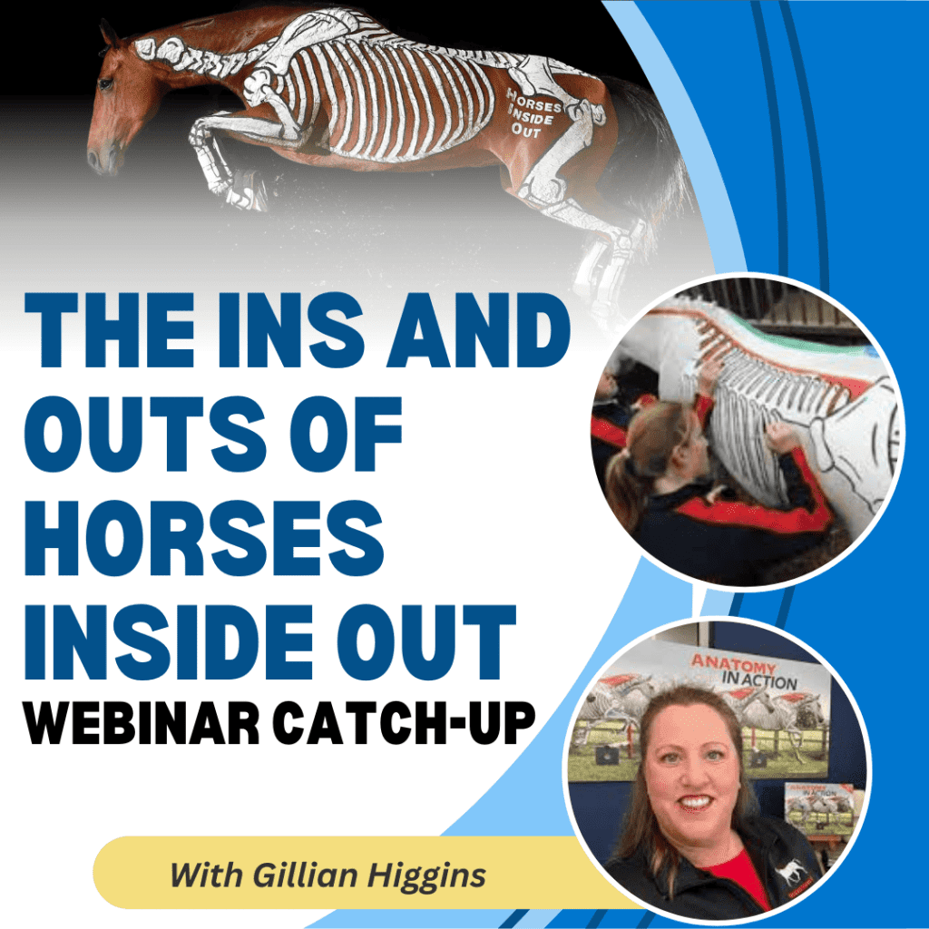 The Ins and Outs of Horses Inside Out with Gillian Hggins